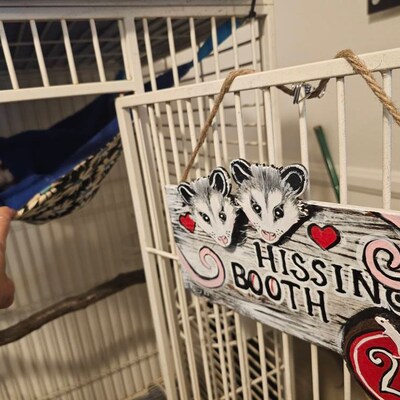 Opossum Mailbox - Etsy