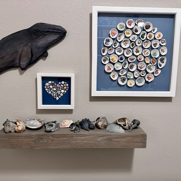 12 Broken Whelk Shells Crafts Decor - Etsy
