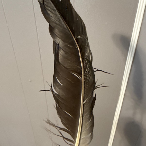 Large Igun Feather - Etsy
