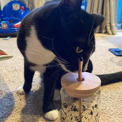 Cat Lover Coffee Cup, Pet Gift, Cat Face Design, Ice Coffee Glass, 16 ...