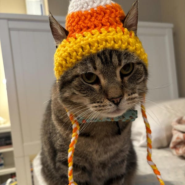 Wizard Cat Hat, Brown or Gray Wizard Hat for Cats With Ear Holes ...