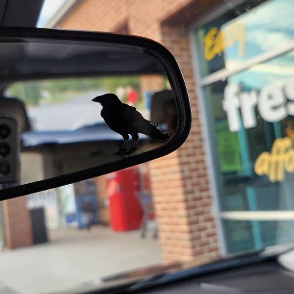 Ghost Decal, Ghost With Bats, Mini Ghost, Rearview Mirror Decal, Car ...