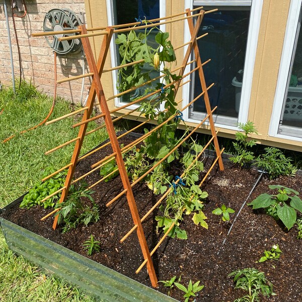 Hardwood Trellis - A Frame, 4ft and 6ft Plant Playground, Fun for ...
