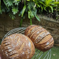 Sourdough Starter - SUPER Active! - Biodynamic, Dry Starter With ...