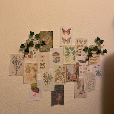 Grunge Fairycore Aesthetic Wall Decor 200pcs Goblincore Wall Collage ...