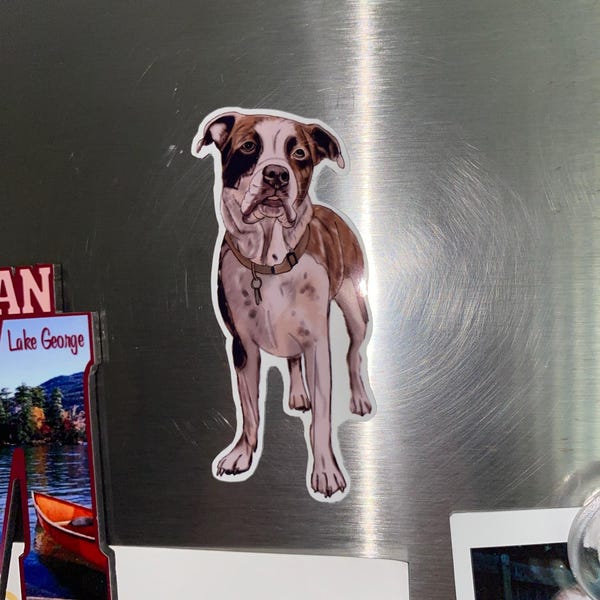 Set of 2 Vet Clinic Printable Posters, Vet Med Poster, Digital Download ...