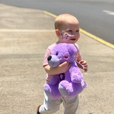 Chiari Malformation zipperhead Awareness 12 Bear Purple, Awareness ...