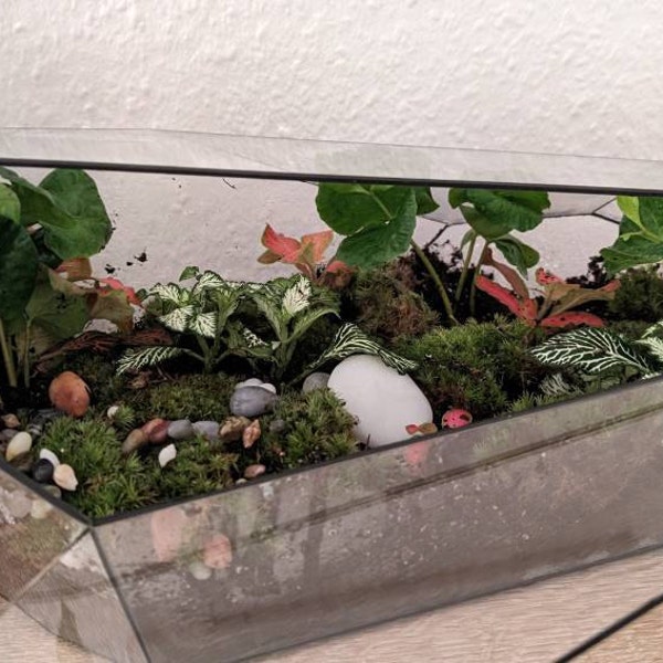 Waterproof 18 Inches Geometric Terrarium Galaxius - Stunning Parametric ...