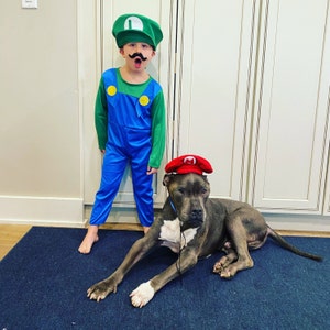 Supper Mario Hat Red Color for Larger Dog /halloween Dog Costume ...
