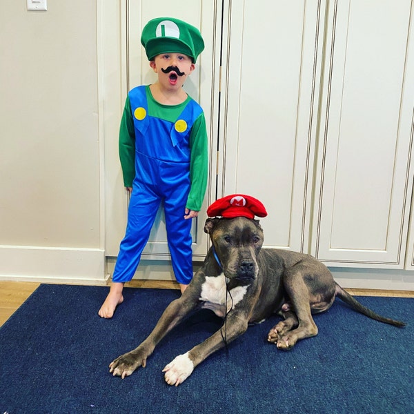 Super Mario Dog Costume Hat, Red Pet Halloween Costume - Etsy