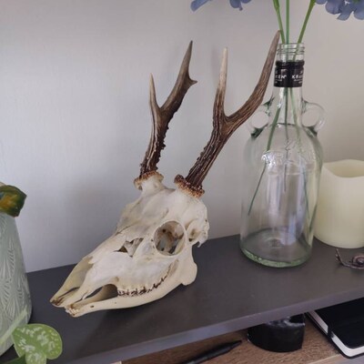 Giant Horse Skin Hide Real Natural Area Rug Living Room - Etsy