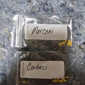 15 Numex Pinata Pepper Seeds isolated-padded Envelope Shipping ...