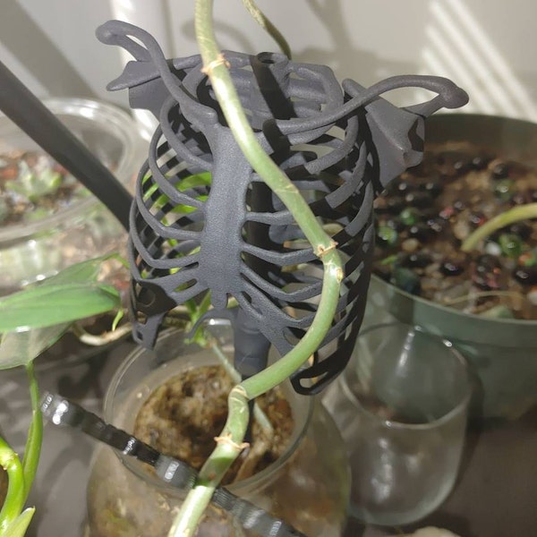 Houseplant Trellis|skeleton|rib Cage|plant Art|indoor Garden Decor|for ...