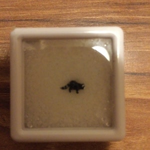 Spooky Trees Hand Painted Miniatures Micro Figurines for Jewelry ...