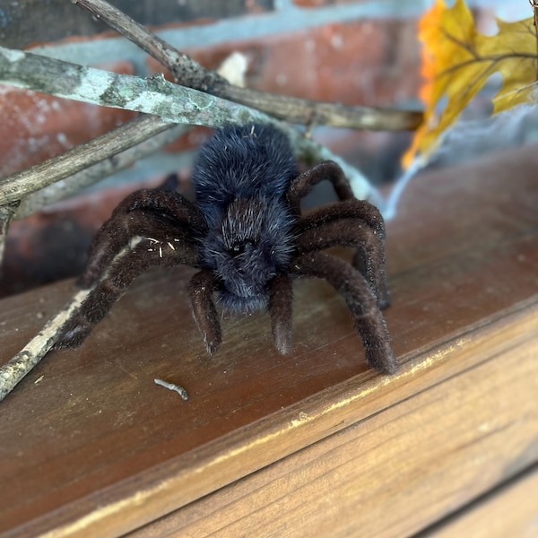 Giant Spider Sleeping Plush for Adults, Weighted Plushie, Cute Monster ...
