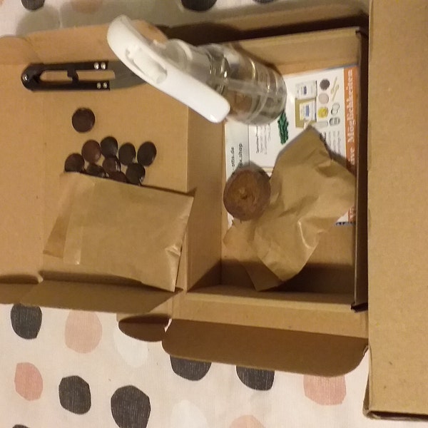 Growbro Kids Peanut Cultivation Set OUR CHILDREN'S EXPLORER SET, Simply ...