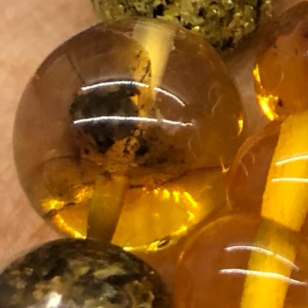 Amber Bead 10.5 Mm Sphere With Rare Plant Insect Trapped for Million ...