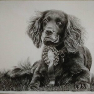 Custom Dog Drawing Dog Memorial Photo to Sketch Charcoal | Etsy
