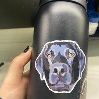 Pothos SVG File Digital Download for Cricut Silhouette Etc. - Etsy Canada