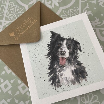 Border Collie Blank Card, jess, by Wrendale, Any Occasion, Buy 6 or ...