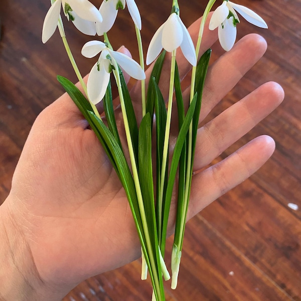 Snowdrop, Cold Porcelain Flowers, Real Touch Flowers, Artificial ...