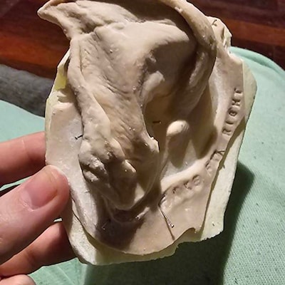 Zombie Ripped Mouth Prosthetic - Etsy UK