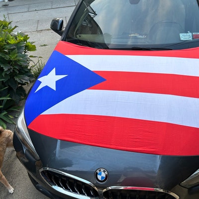 Puerto Rican Sun Taino Decal - Etsy