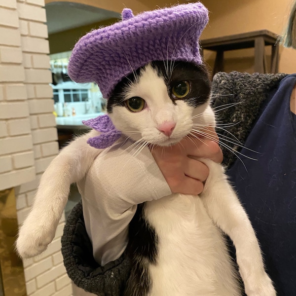 French Beret Hat and Scarf, Beret Hat for Cat, Cat Scarf, Purple Kitten ...