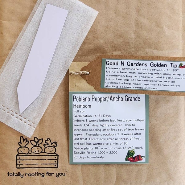 Fancy & Autumn Wing Gourd Seeds, Small and Medium Ornamental Gourds and ...
