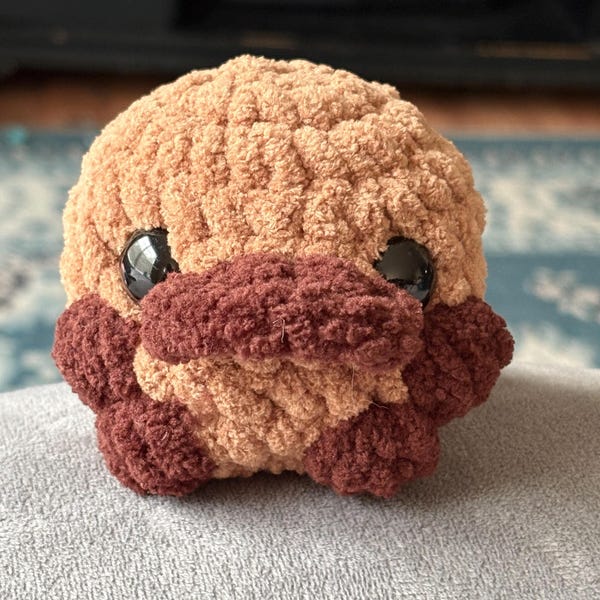 Little Critters No Sew Puggle the Baby Platypus and Hat Crochet ...