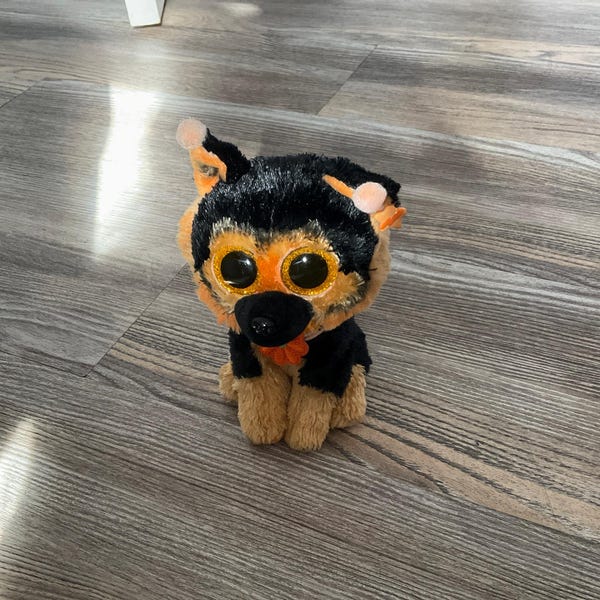 Rainbow Raccoon - Beanie Boo Custom Ty Plush - Etsy