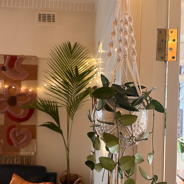 Macrame Ceiling Plant Hanger Indoor, Hanging Wall Planter, Macrame Wall ...
