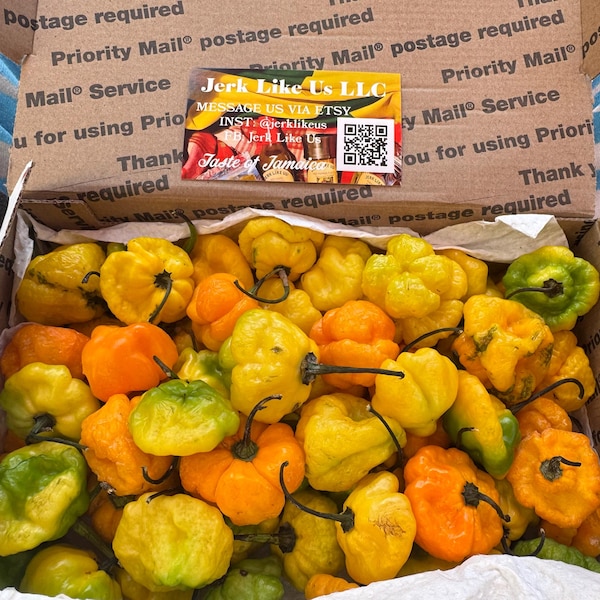 Whole Fresh Scotch Bonnet Peppers. Fresh Pods of Genuine Scotch Bonnets ...