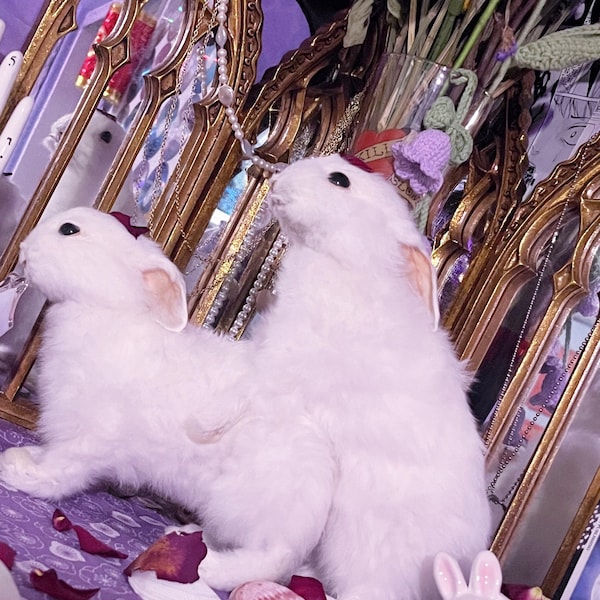 Taxidermy Rabbit,real Taxidermy Rabbit,oddity Home Decor,cute Rabbit ...