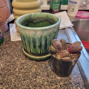 R & J Forrester Bandon Irish Pottery Stoneware Cherry Apple - Etsy