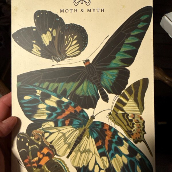 Giant Paper Atlas Moth for Halloween, Double-sided Butterfly Paper-cut ...