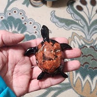 Mini Rock and Mineral Dig Kit, Mini Excavation Kit: Rock & Minerals - Etsy