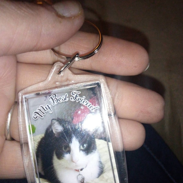 In Loving Memory of Rest in Peace 2 Inch Pin Back Butterfly Buttons - Etsy