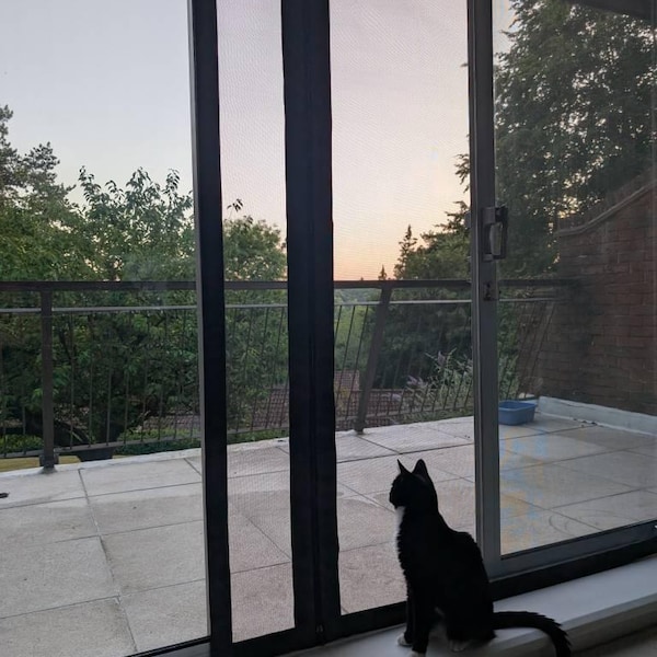 Custom Flat Cats Door Screens - Mesh Window Protection for Cats (with ...