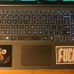 Vinyl Sticker Fuck Delicate Floral Obscene Sticka - Etsy