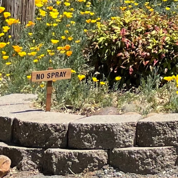 NO SPRAY Sign, No Spray Zone, Pesticide Free Area, Outdoor Sign ...