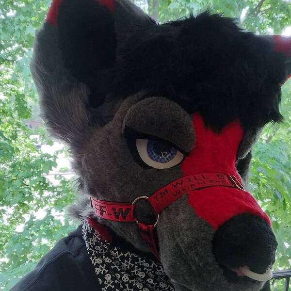 PDF Pattern Download Bluey Style Cosplay Cartoon Dog Fursuit Tail ...