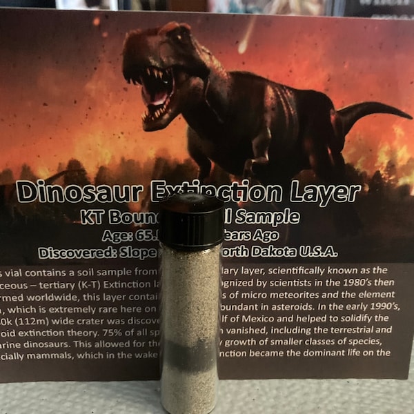 Authentic K-T Boundary ( (k–pg) Boundary) Sediment Layers Marking the ...