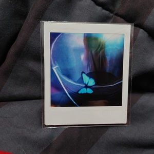 Life is Strange Prop: the Deer Instant Photo - Etsy