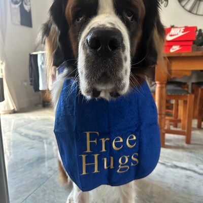 Big Dog Slobber Drool/slobber Bibs 2 Designs - Etsy