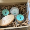 Chicken Feather Brush - Extra Soft Brush for Pet Chickens - Chicken ...