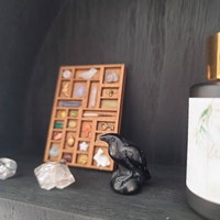 Mushroom Mini Curio Shelf - Etsy