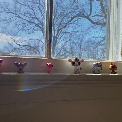 Littlest Pet Shop Rare Vintage LPS Chihuahua Dogs Accessories Lots YOU ...