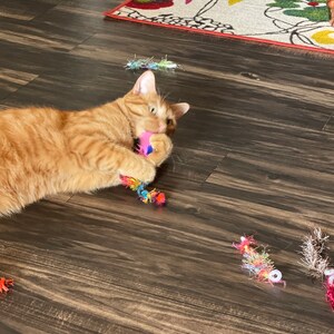 3 Squiggly Soft Cat Toys Optional Feathers Catnip Bell No - Etsy