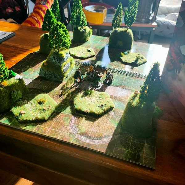 Mini Hallowen Coffins Set/mini Coffins/miniature/nature/diorama/anti ...